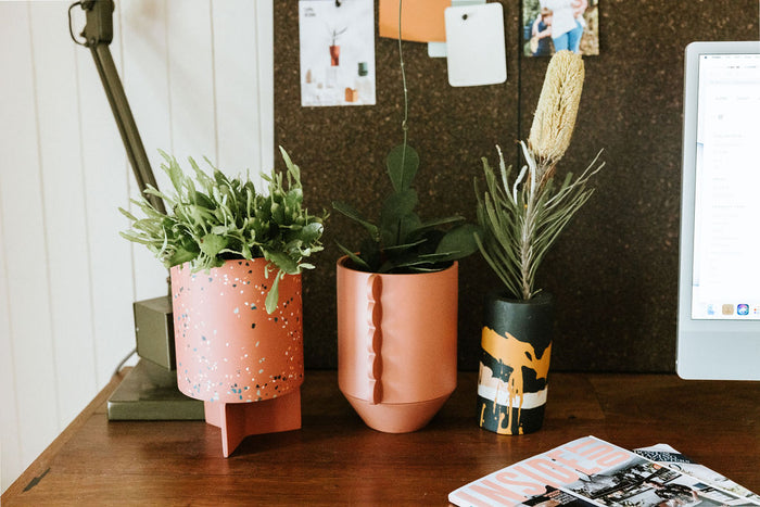 Office Desk Plant Pots | Flower Pots For Office | Capra Designs