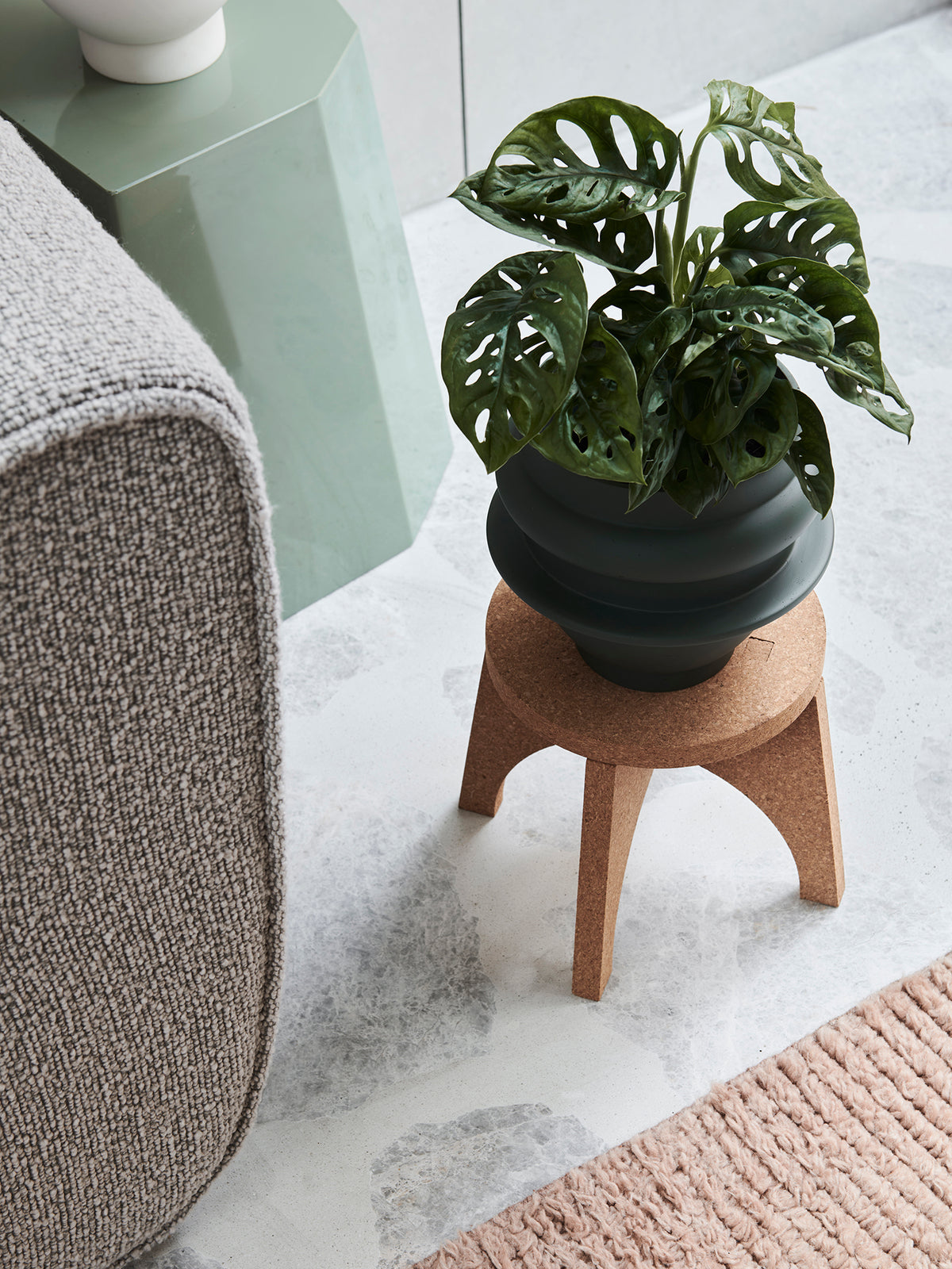 Designer Plant Pots, Planters and Homewares | Capra Designs