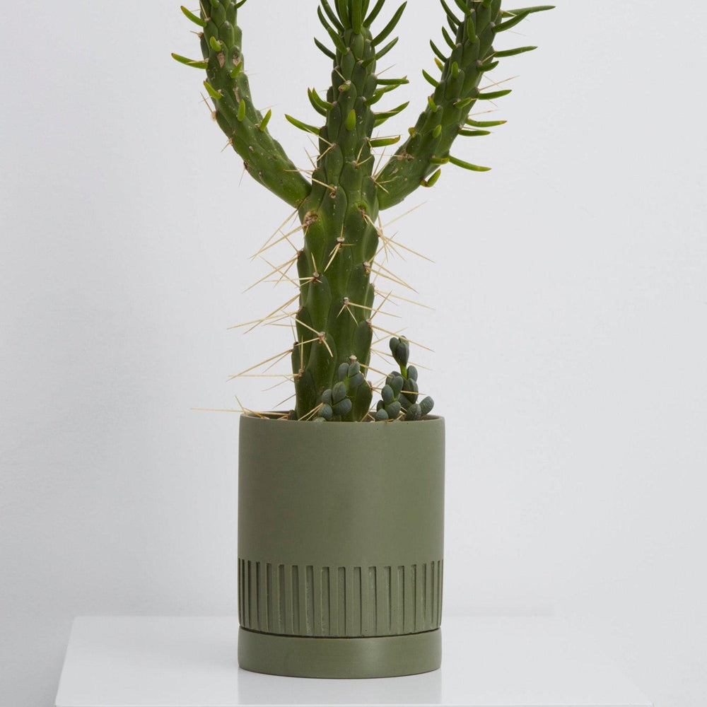 All Planters + Homewares | Capra Designs
