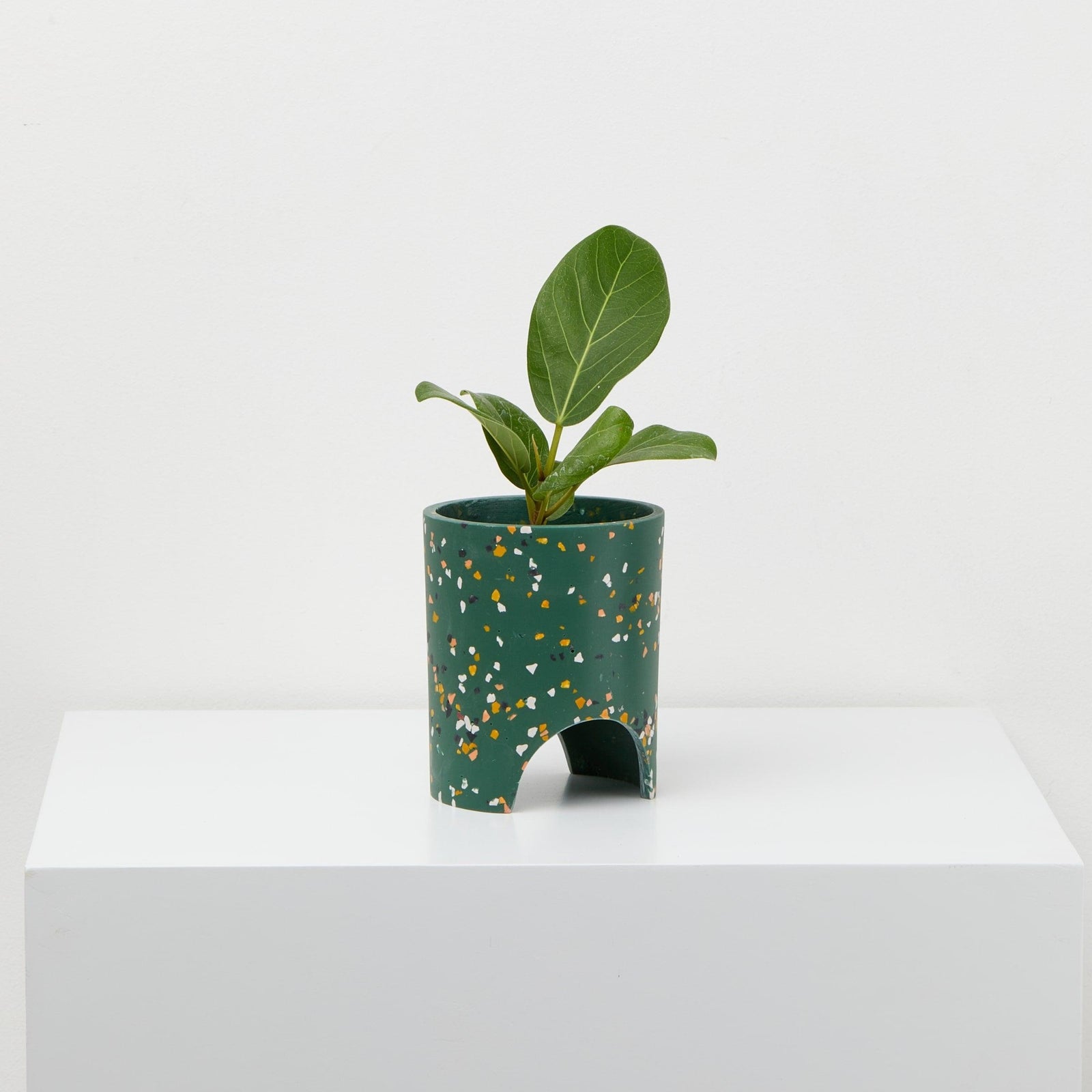 Small Archie Pot Terrazzo Planter